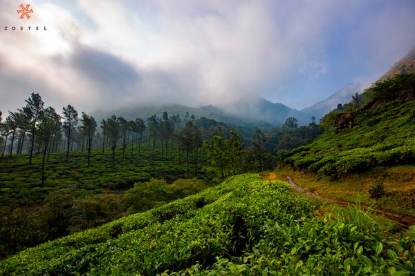 12 Cities from where reaching Wayanad is Cheap and Easy! | Zostel