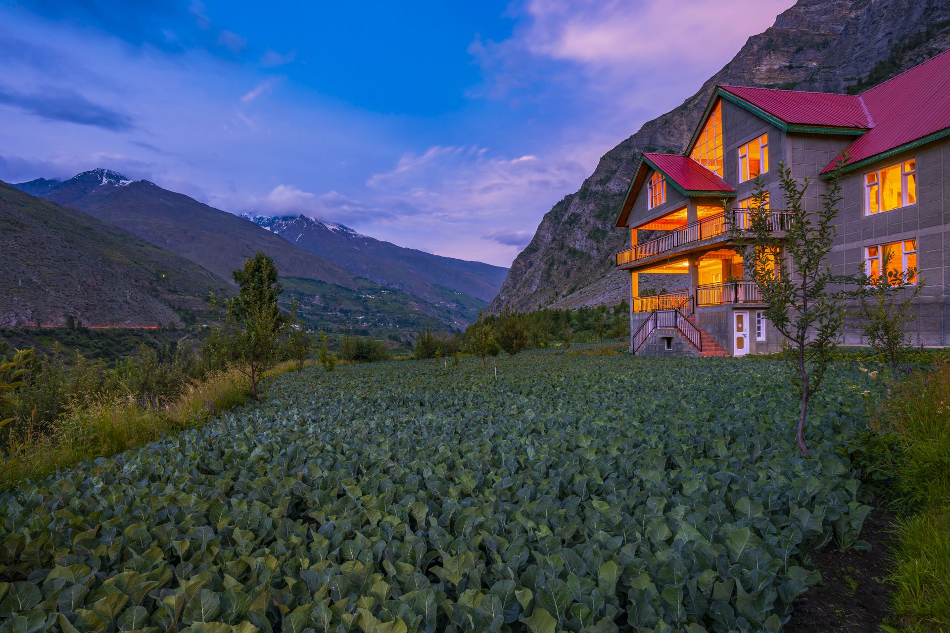 Zostel Homes Rashil (Lahaul) | Top Rated Experiential Homestay