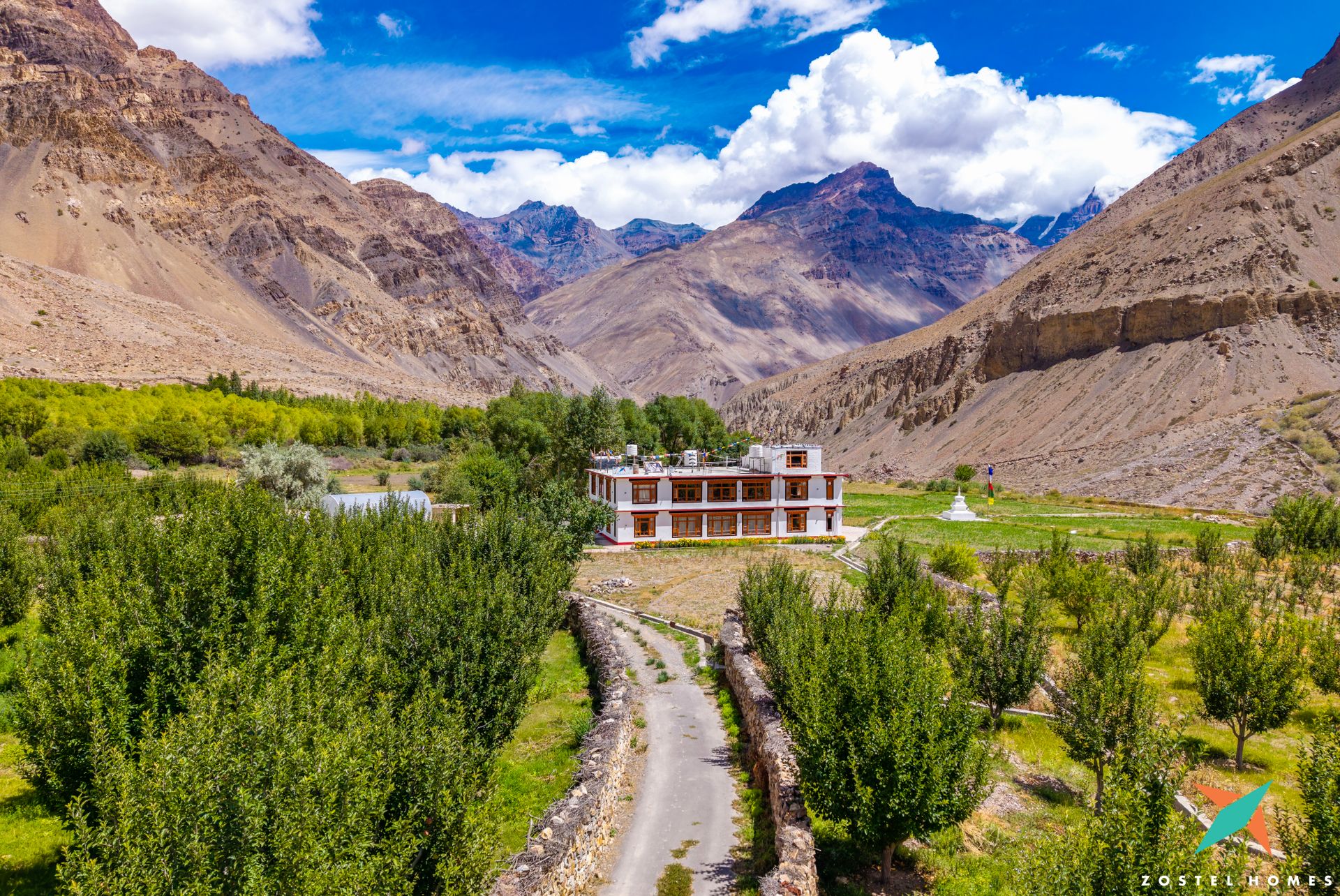 Zostel Homes Tabo | Top Rated Experiential Homestay in Tabo